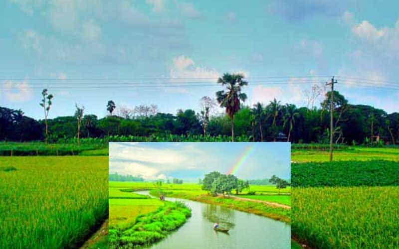 Environmental pollution should prevent to protect biodiversity - The ...