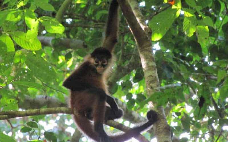 The Green Page News | Environmental issues, global warming & climate ...