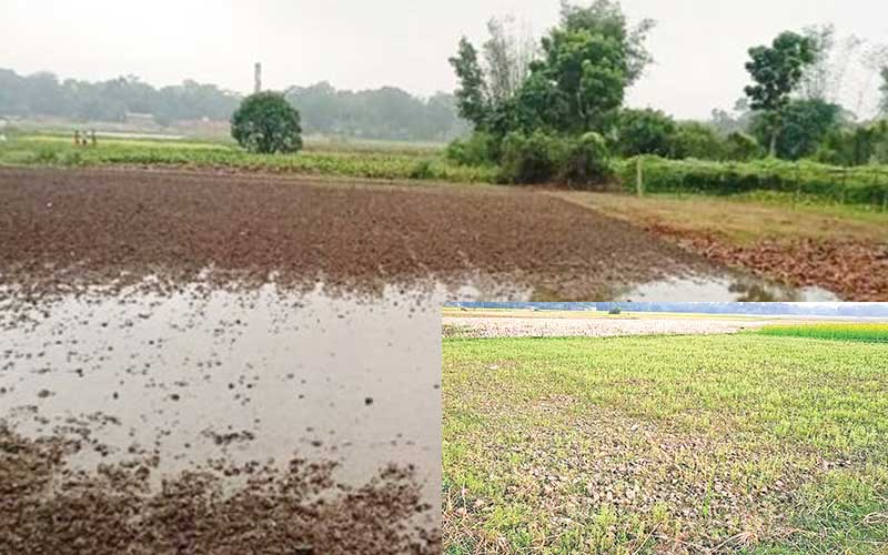 Due to the impact of climate change, salt has invaded the agricultural ...
