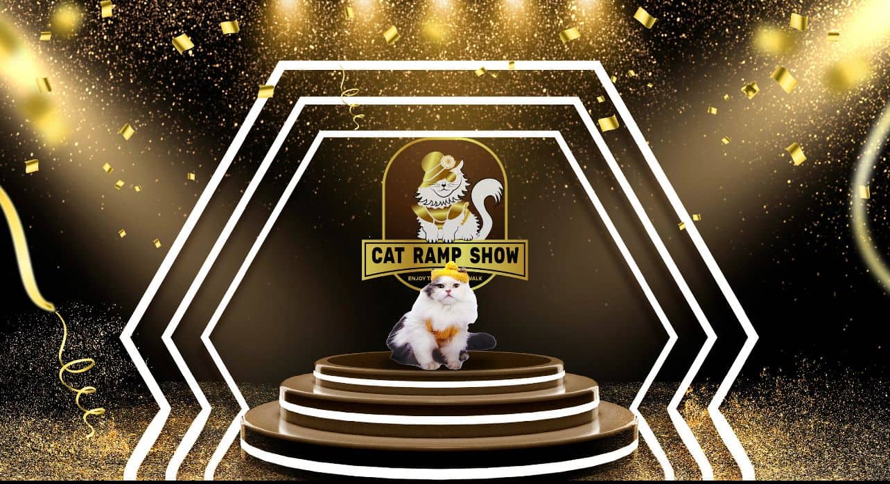 For the first time in Bangladesh, "A Cat Ramp Show" is going to be held ...