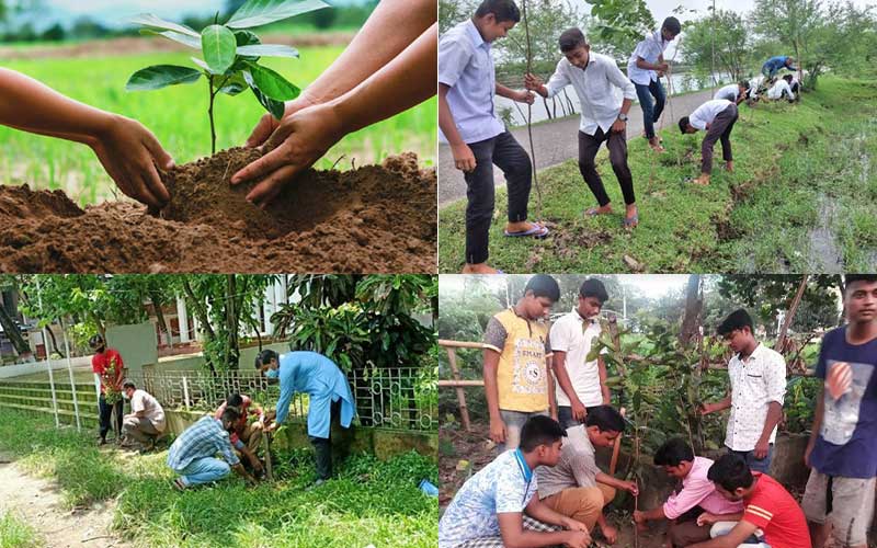 Plantation is essential to protect the environment - The Green Page