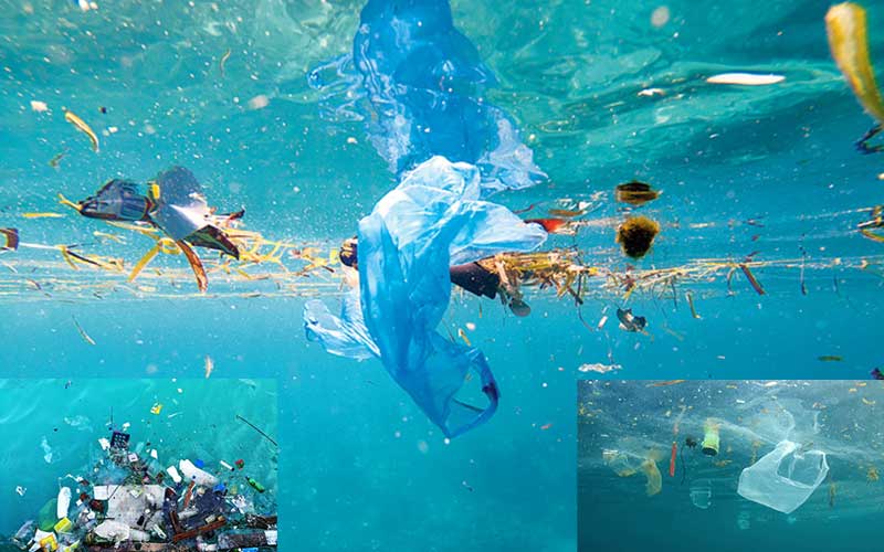 The fight against plastic pollution has been going on worldwide for a ...