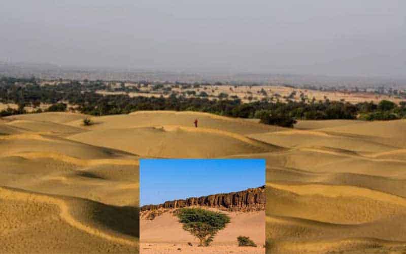 The Great Indian Desert is turning green - The Green Page
