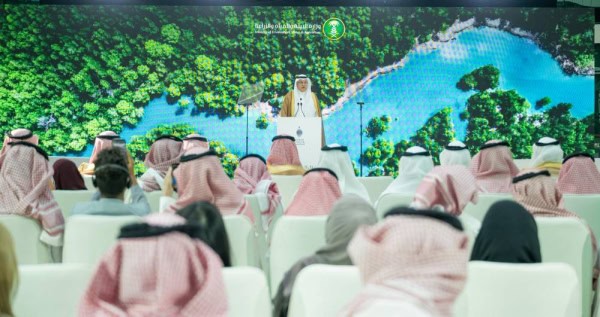 Dubai and Saudi Arabia to build over 1,000 rainwater dams in a bid to ...